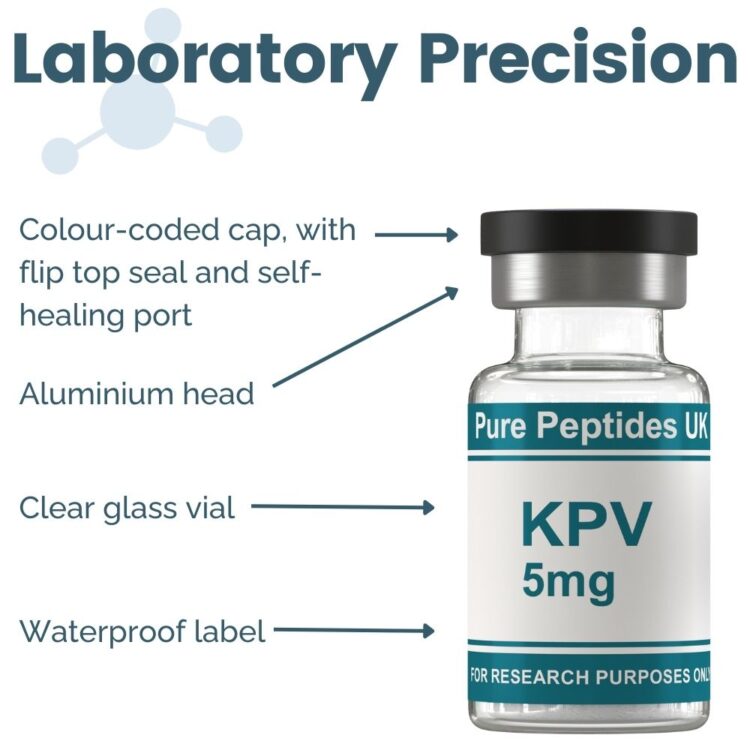 Buy KPV for its anti-inflammatory properties - Pure Peptides UK